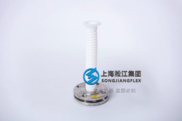 DN40 Stainless Steel Flanged PTFE Corrugated Hose - Shanghai Songjiang ...